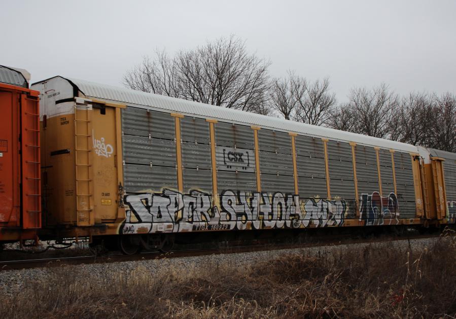 TTGX 160929-Rack class ML2G | Conrail Photo Archive