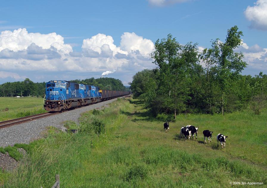 NS 6719 (CR 5580) at Schuyler, PA 6/12/2009 | Conrail Photo Archive